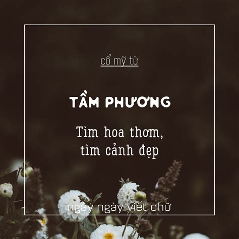 Nh Ng T Ng Xinh P Trong Ti Ng Vi T Thu H T V G I L N H Nh Nh