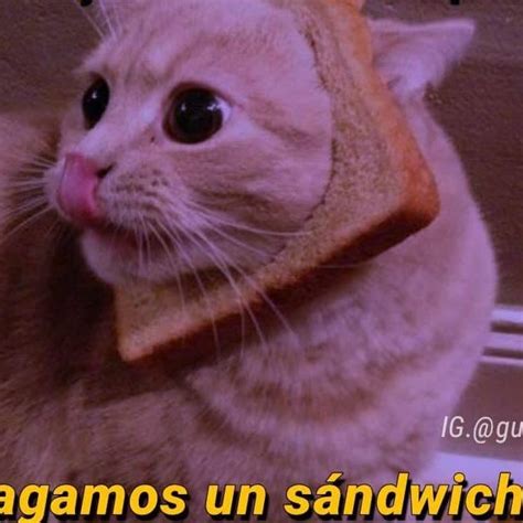 Descubre Los 34 Mejores Piropos De Tienor Divertidos Y Originales