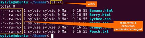 How To Change Permissions Of All Files In A Folder In Linux