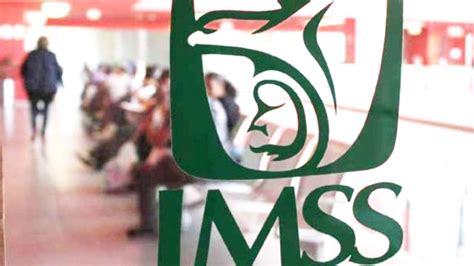 IMSS Cómo tramitar la hoja rosa en línea Paso a paso El Heraldo