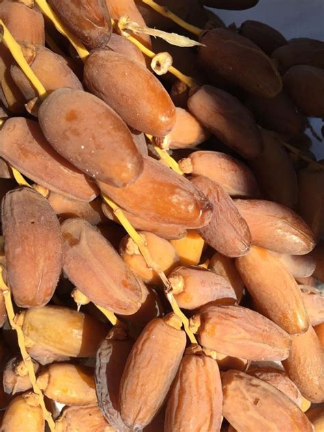 Fabrication des produits à partir des déchets du palmiers dattiers