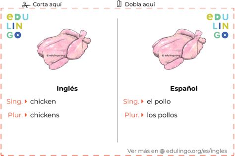 Introducir 60 imagen pollo en inglés Abzlocal mx