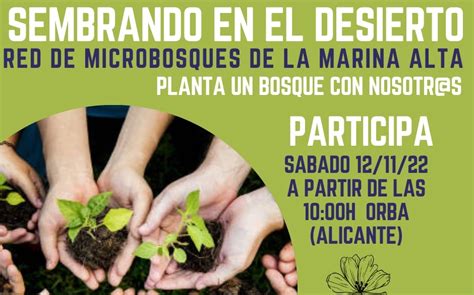La Asociaci N Ibisko Busca Voluntarios Para La Plantar En Orba Un Nuevo