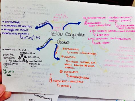 MAPA MENTAL SOBRE TECIDO ÓSSEO STUDY MAPS