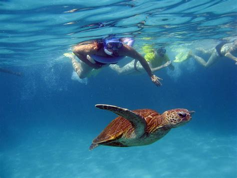 Ningaloo Reef Snorkel Photo By Marine Biologist Guy On Boa Flickr