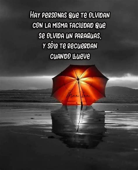 Pin De Fernanda Zapata En Frases Frases De Pensar Frases