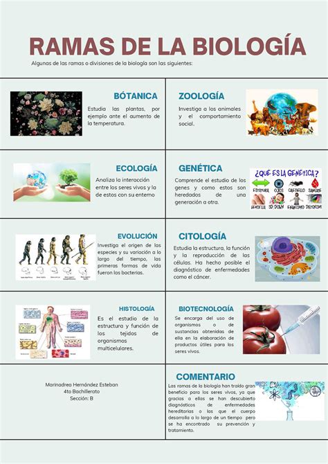 Ramas De La Biologia Mariandrea Hernandez Esteban RAMAS DE LA
