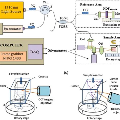 Summary Of Optical Coherence Tomography OCT Histology Correlation