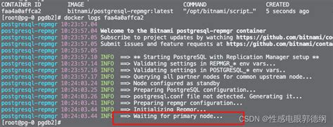docker postgresql pgpool搭建集群数据库遇到问题求助 Waiting for primary node docker上