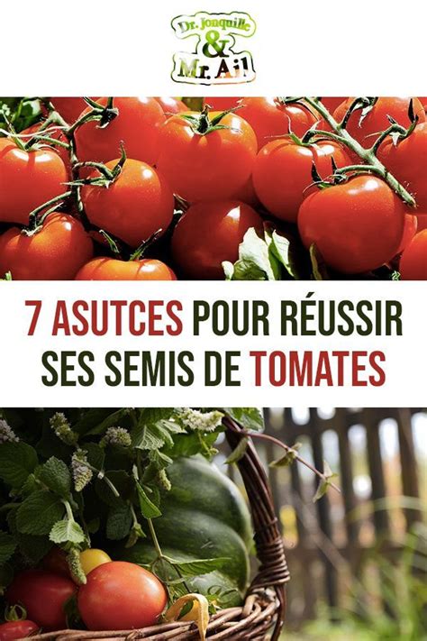 7 conseils pour réussir vos semis de tomates Blog Dr Jonquille