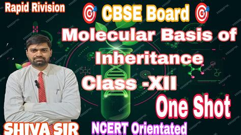 Molecular Basis Of Inheritance Class Ncert Chapter Cbse Neet Youtube