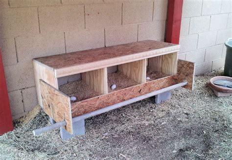 30 DIY Chicken Nesting Boxes Learn How To Build Yours
