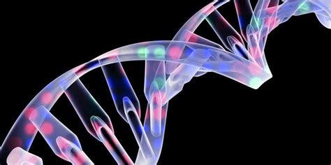 Linea De Tiempo De La BiotecnologiaServando Emilio Clemente 704 QBP