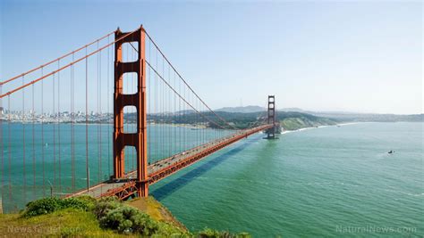 San Francisco FINALLY Installs Safety Nets To Prevent Suicides Off The