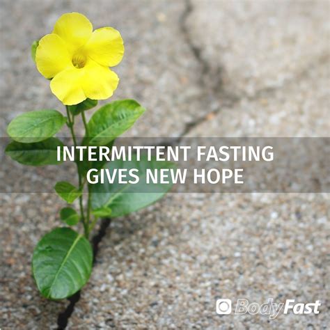 Intermittent Fasting Gives New Hope Intermittent Fasting New Hope Hope