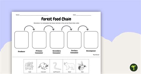 Food Chain Worksheet 2 Worksheet Live Worksheets Worksheets Library