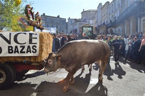 Gironde Bazas revivez en images la géniale fête des Bœufs Gras
