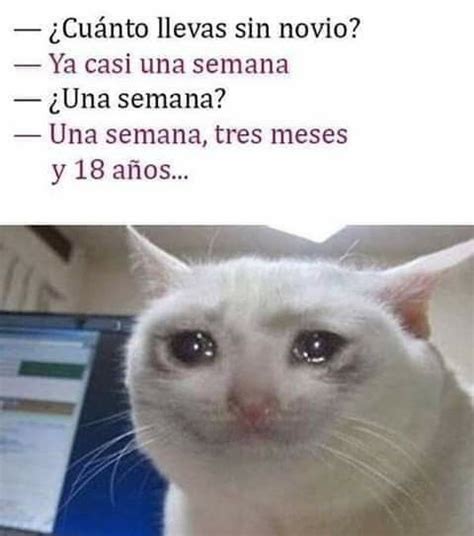 Pin De ★♥~•°¤¯`°♥°º• ღ Yu Löt En Memes Memes Divertidos Chistes Divertidos Memes