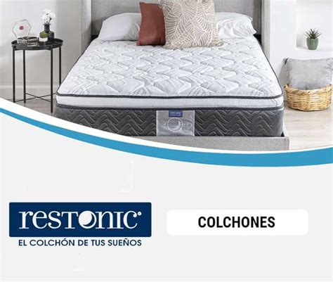 TOP Mejor Marca y Colchón ProfecoSuave y Resistente