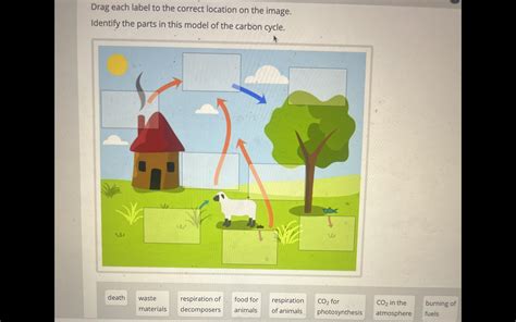 Drag Each Label To The Correct Location On The Image Identify The