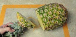 Come Coltivare L Ananas In Vaso Greenme