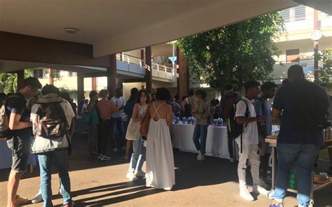 BACCALAUREAT LYCÉE POLYVALENT MOULIN JOLI