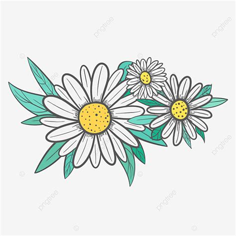 Margarita Flor Dibujo