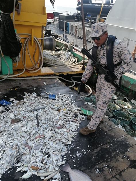 Nelayan Kelas C Tangkap Ikan Di Zon Larangan Ditahan
