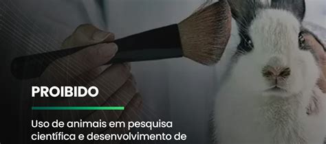 Uso de animais em pesquisa científica e desenvolvimento de cosméticos é