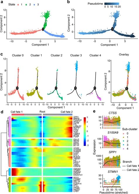 pseudotime trajectory reconstruction of macrophage reprogramming download scientific diagram