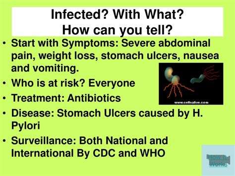 PPT Genetics Of Viruses And Bacteria PowerPoint Presentation Free