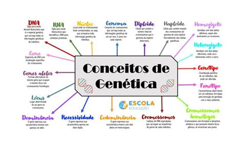 Mapa mental Conceitos básicos de genética Escola Educação Study