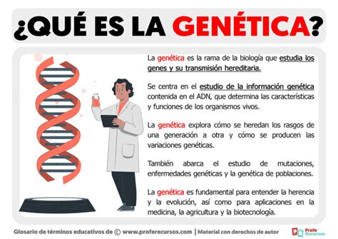 Qué es la Genética Definición de Genética