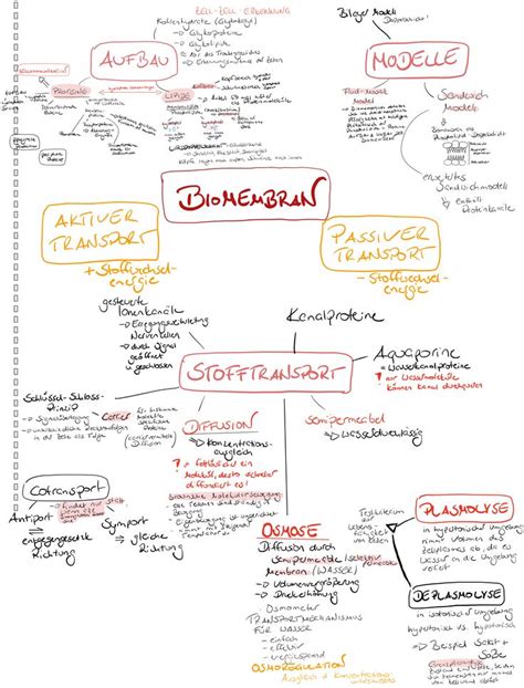 Mind Map Biomembranen Doodle Unterrichtsmaterial Im Fach Biologie