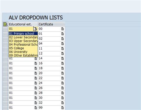 Dropdown In ALV With Description Only And Fcode Tr SAP Community