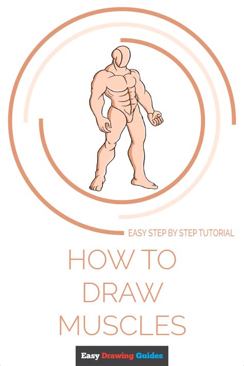 How To Draw Muscles Really Easy Drawing Tutorial How To Draw