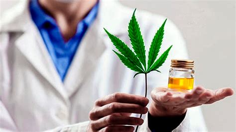 Cannabis medicinal en Argentina todo lo que tenés que saber 4 Almas ONG