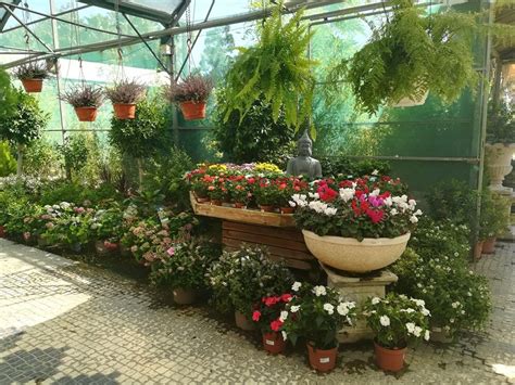 Horto Do Campo Grande Entrega Em Casa