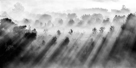 Ganadores Top Black White Photographers Mejores Fotos En