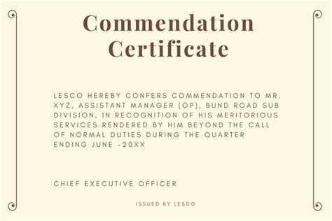 Certificate Of Commendation Usmc Template Dannybarrantes Template
