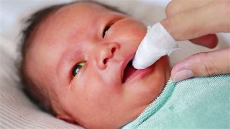 Cómo Limpiar La Lengua De Mi Bebe MiBBmemima