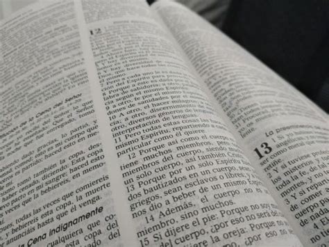 Lecturas y Evangelio de hoy Miércoles 12 de Octubre del 2022 Ciclo C