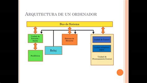 Estructura básica de un ordenador YouTube