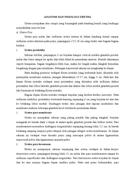 PDF Anatomi Dan Fisiologi Uretra DOKUMEN TIPS