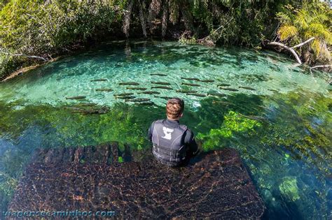 Cidades do Mato Grosso do Sul 10 destinos turísticos Midia Exata