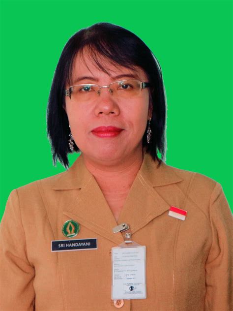 SRI HANDAYANI S IP