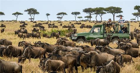 Nairobi 4 Day Masai Mara Lake Nakuru Safari Mid Range GetYourGuide