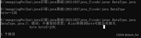 java的注释 标识符 关键字 变量 数据类型 数据类型的转换 极客之音