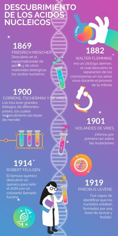 Descubrimiento De Los Acidos Nucleicos