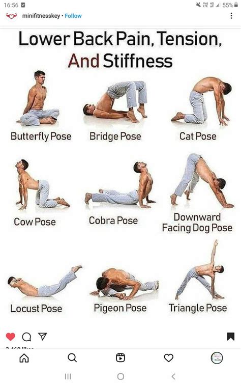 Best Stretches And Exercises For Lower Back Pain Ppgbbe Intranet